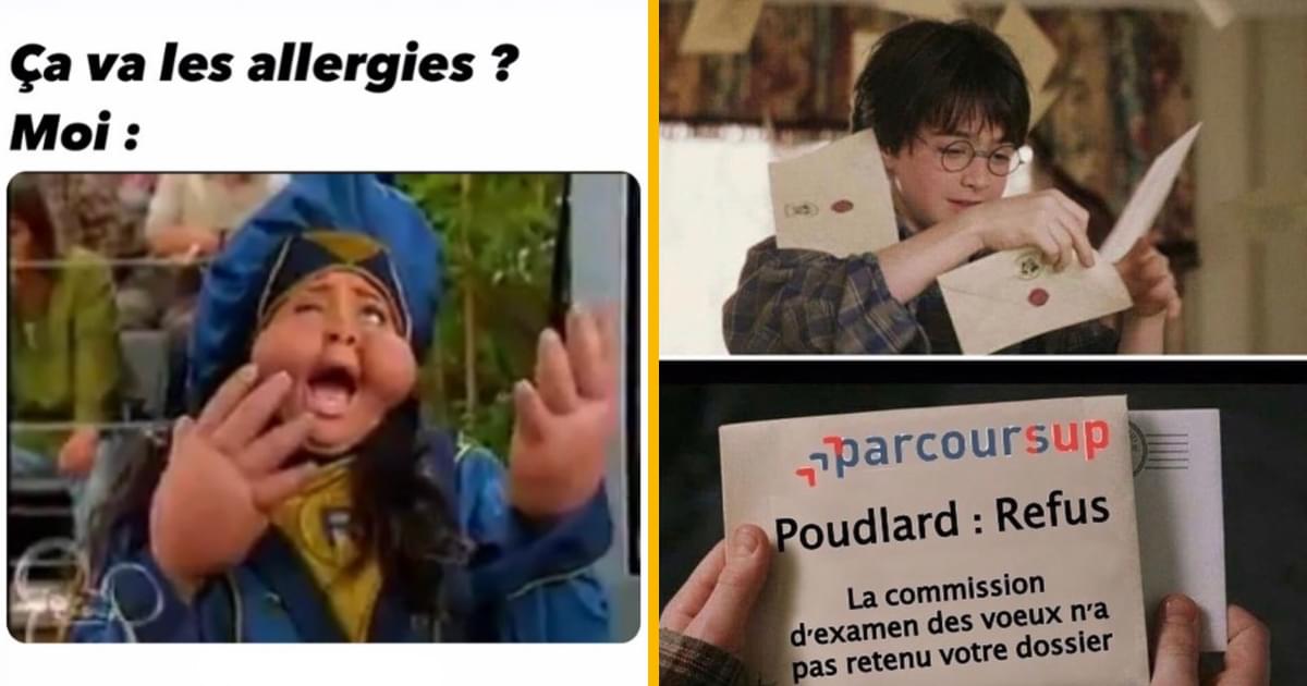 Top 20 des meilleurs memes de la semaine, épisode 22