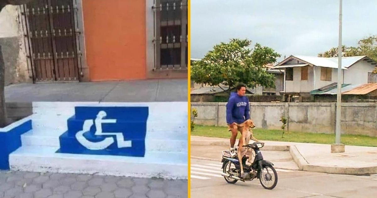 Top 15 des trucs les plus chelous vus dans la rue