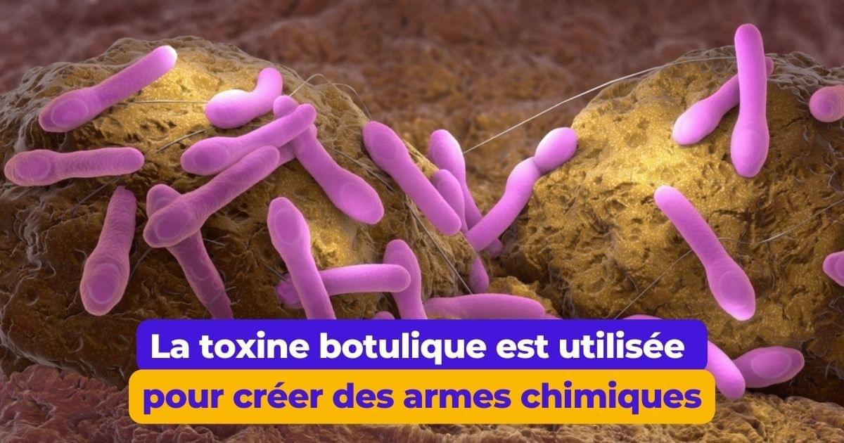 Top 8 des choses à savoir sur le botulisme